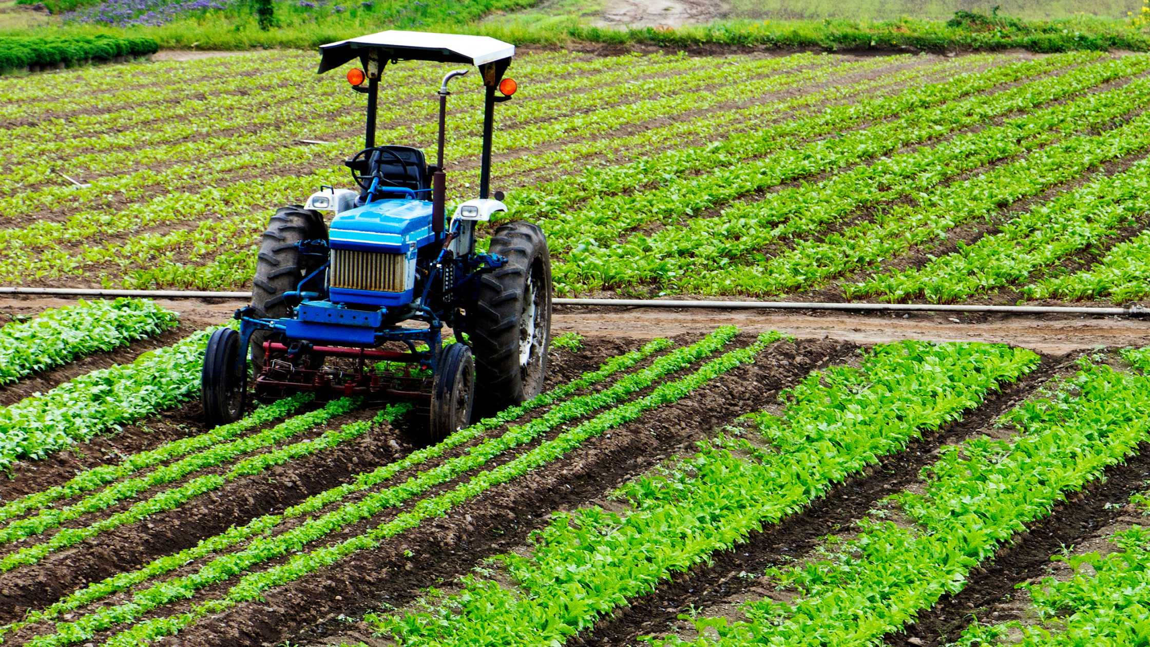 5 Tipe Bisnis Berdasarkan Kegiatannya, Apa Saja?