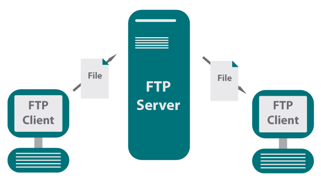 Cara Kerja FTP Server Beserta Penjelasan Lengkap!