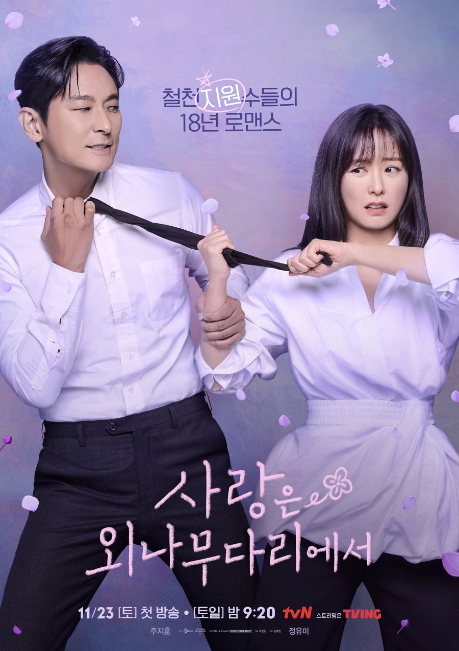 Link Nonton Drama Korea Love Your Enemy Sub Indo Gratis, Drakor Romcom 2024